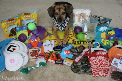 Gotcha Day Prizes - Here are some of the possible prizes, but there are ...