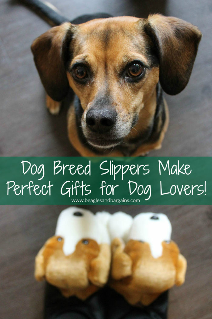 Dog Breed Slippers Are the Perfect Gift for Dog Lovers! - Beagles ...