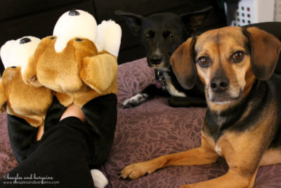 Dog Breed Slippers Are the Perfect Gift for Dog Lovers! - Beagles ...
